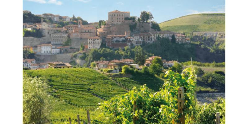 Marsaglia vini - Cantina Castellinaldo (Cuneo) | Hello Taste