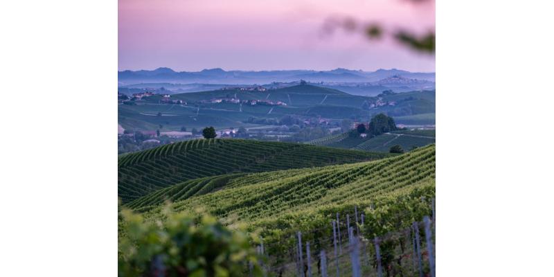 Prunotto vini - Cantina Alba (Cuneo) | Hello Taste