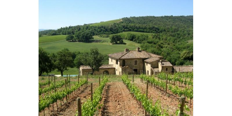 Renieri vini - Cantina Montalcino (Siena) | Hello Taste