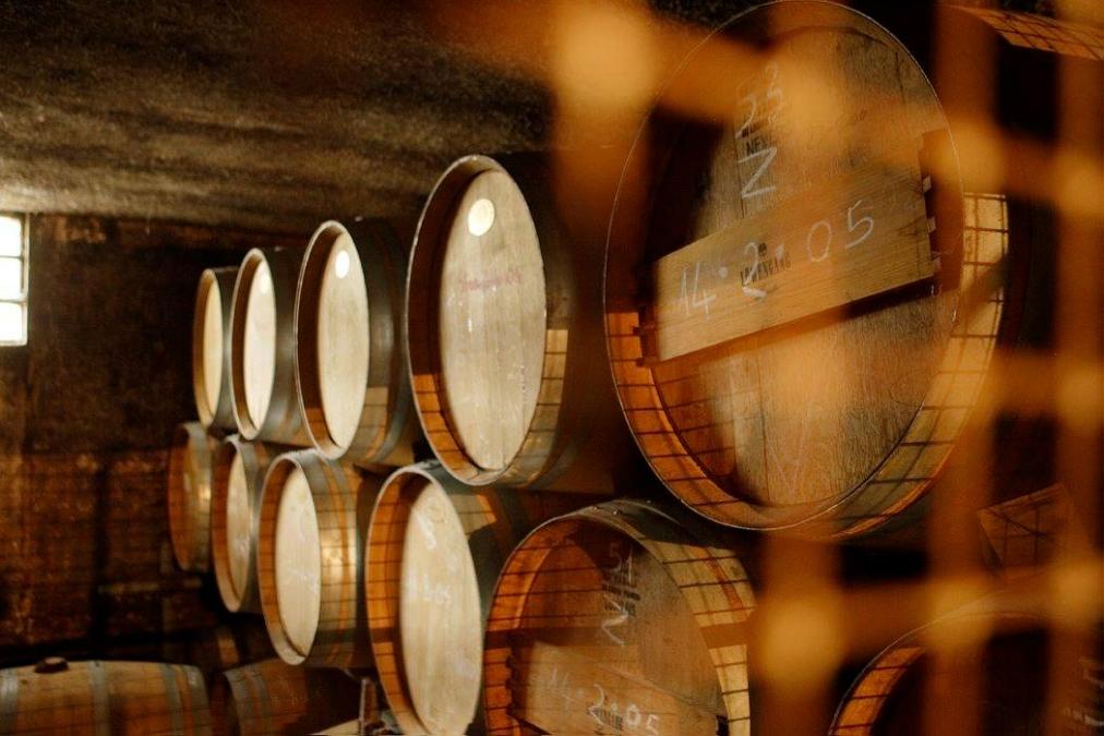 Giovanni Poli vini - Cantina Vezzano (Trento) | Hello Taste