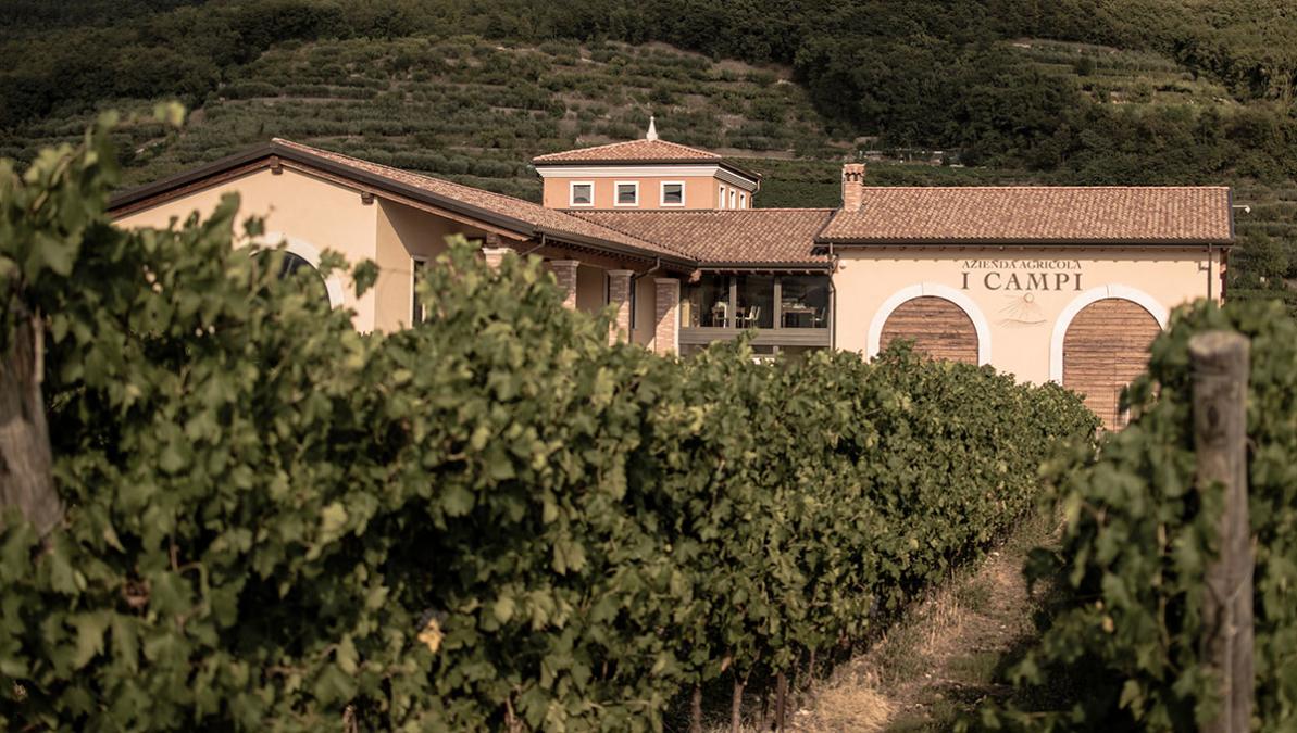 I Campi vini - Cantina Illasi (Verona) | Hello Taste