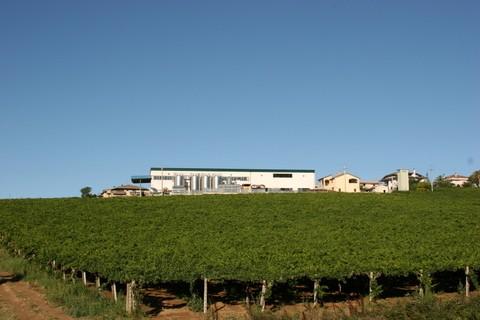 Lepore vini - Cantina Colonnella (Teramo) | Hello Taste