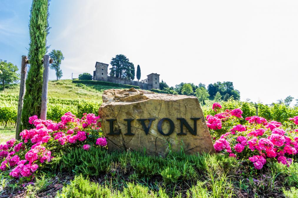 Azienda Agricola Livon vini - Cantina San Giovanni Al Natisone (Udine ...
