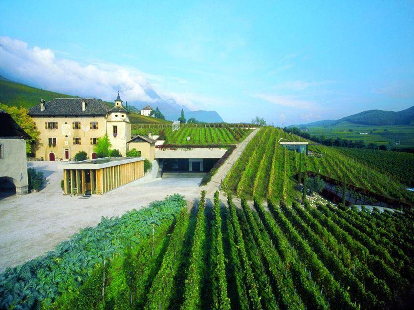 Manincor vini - Cantina Caldaro Sulla Strada Del Vino (Bolzano) | Hello ...