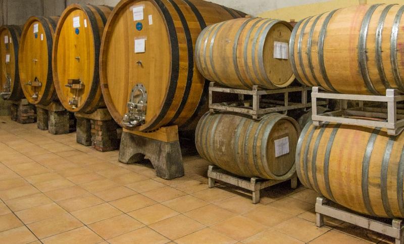 Punset vini - Cantina Neive (Cuneo) | Hello Taste