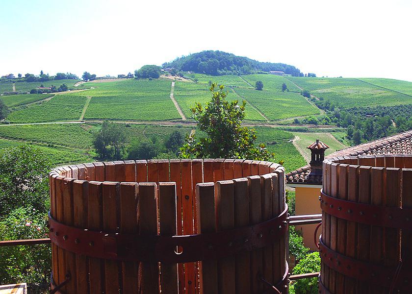 Raineri vini - Cantina Novello (Cuneo) | Hello Taste