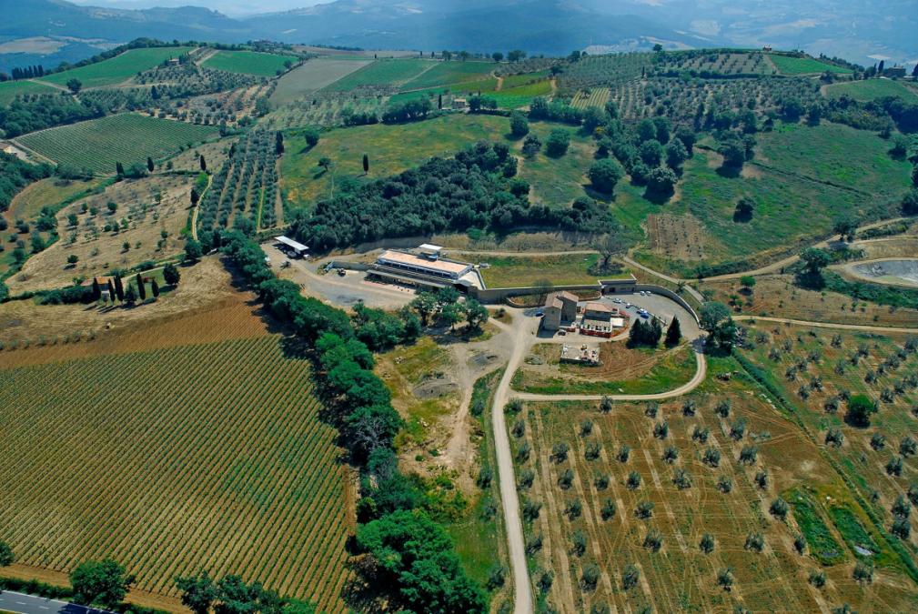 Tenuta Fanti vini - Cantina Montalcino (Siena) | Hello Taste