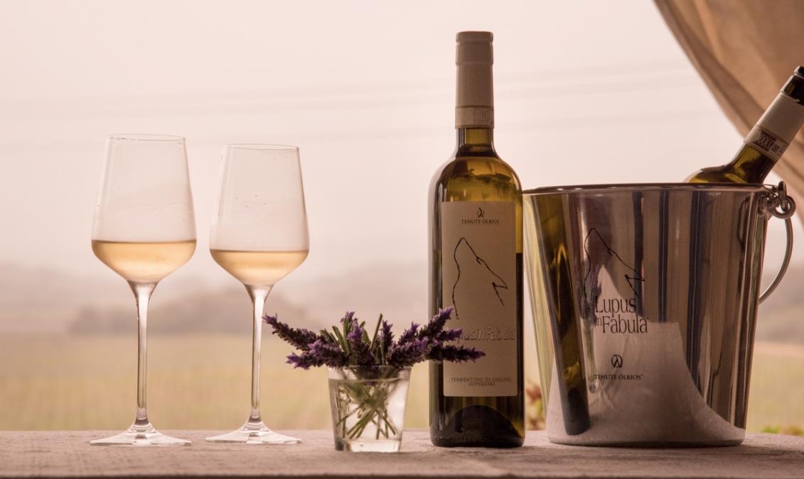 Tenute Olbios vini - Cantina Olbia (Olbia Tempio) | Hello Taste