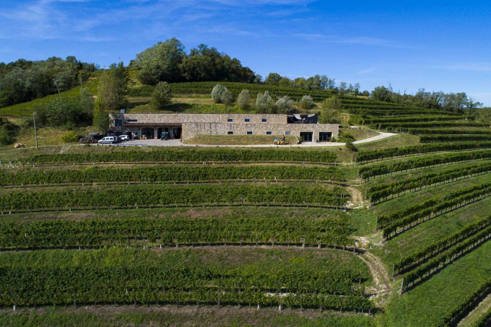 Vigna Traverso vini - Cantina Prepotto (Udine) | Hello Taste