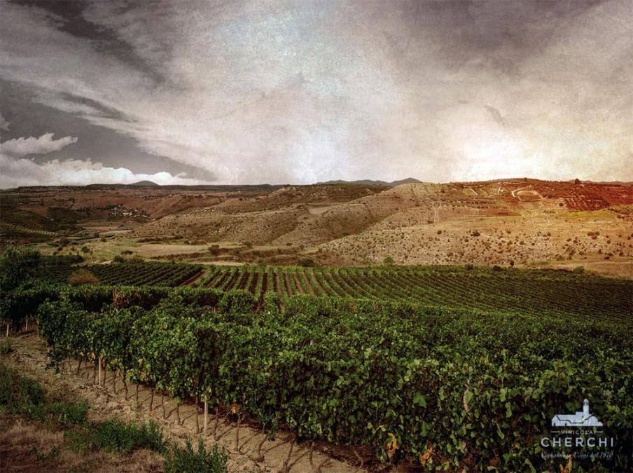Vinicola Cherchi vini - Cantina Usini (Sassari) | Hello Taste