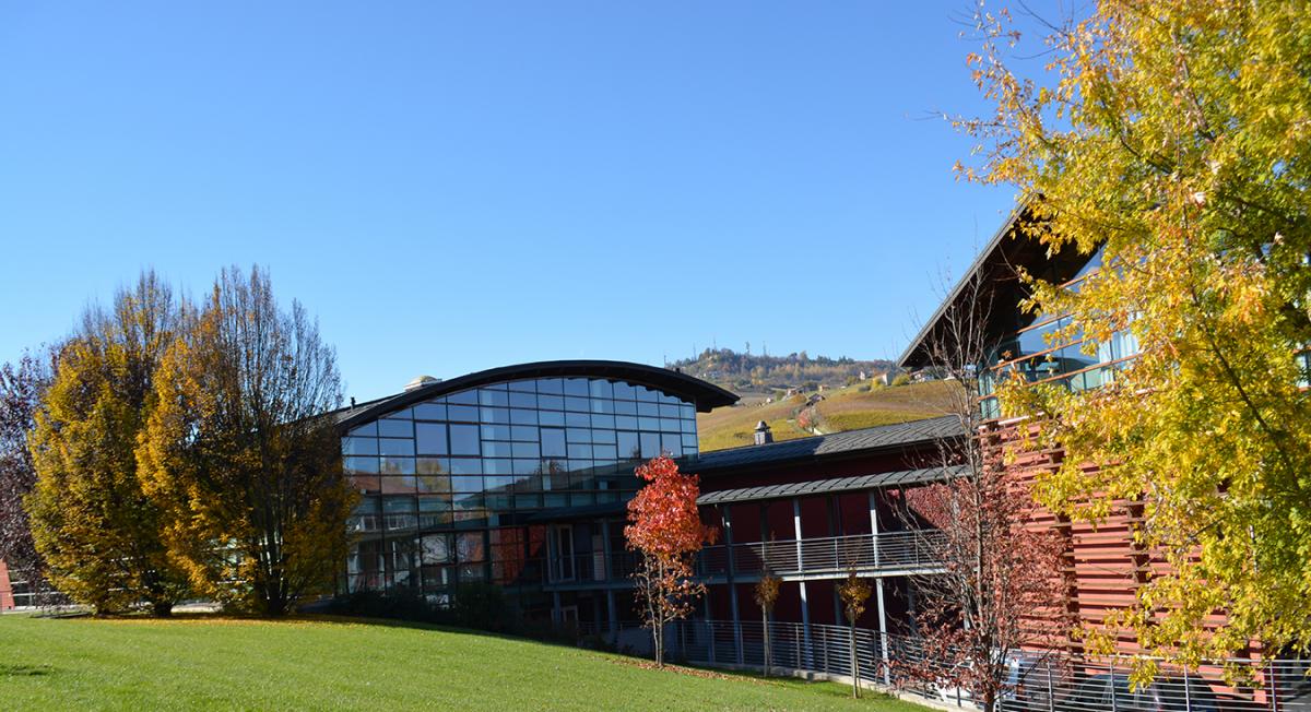 Vite Colte vini - Cantina Barolo (Cuneo) | Hello Taste