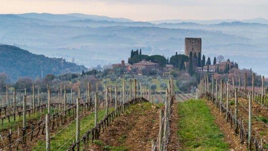 Argiano vini - Cantina Montalcino (Siena) | Hello Taste